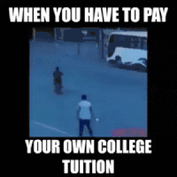 College GIFs - Get the best gif on GIFER