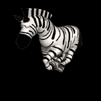 Zebras GIFs - Get the best gif on GIFER