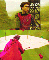 Quidditch GIFs - Get the best gif on GIFER