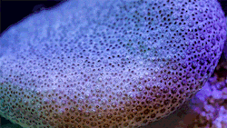 Rekindling GIFs - Get the best gif on GIFER