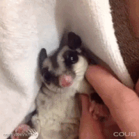 Planer GIFs - Get the best gif on GIFER