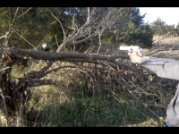 Risque GIFs - Get the best gif on GIFER