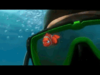 Finding nemo franchise GIFs - Get the best gif on GIFER