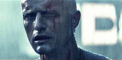 Roy GIFs - Get the best gif on GIFER