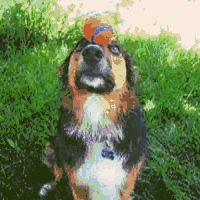 Awsome GIFs - Get the best gif on GIFER