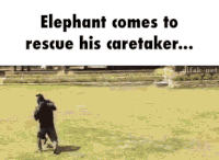 Rescues GIFs - Get the best gif on GIFER