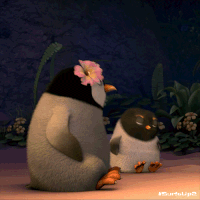 Doubletake GIFs - Get the best gif on GIFER