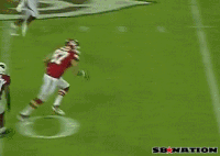 Cardinal GIFs - Get the best gif on GIFER