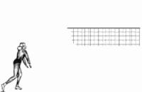 Volleyball GIFs - Get the best gif on GIFER