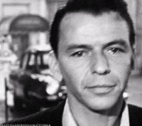 Frank GIFs - Get the best gif on GIFER