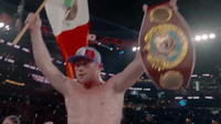 Boxing GIFs - Get the best gif on GIFER