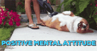 Positive GIFs - Get the best gif on GIFER