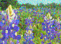 Dmt GIFs - Get the best gif on GIFER
