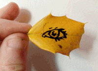 Blinking eye GIFs - Get the best gif on GIFER