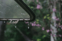 Drizzle GIFs - Get the best gif on GIFER