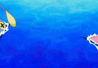 Chinchou GIFs - Get the best gif on GIFER