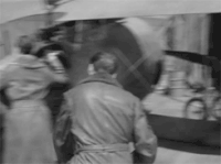 Basil GIFs - Get the best gif on GIFER