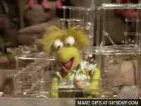Fraggle GIFs - Get the best gif on GIFER