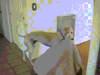 Interior GIFs - Get the best gif on GIFER