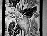 Textile GIFs - Get the best gif on GIFER