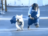 Correr GIFs - Get the best gif on GIFER