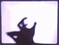 Shadow GIFs - Get the best gif on GIFER