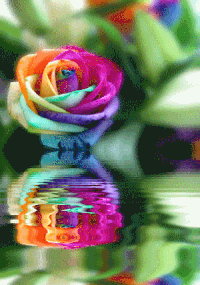 Multicolor GIFs - Get the best gif on GIFER