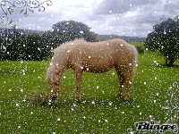 Калипсо GIFs - Get the best gif on GIFER