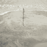 Credit GIFs - Get the best gif on GIFER