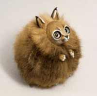 Cae GIFs - Get the best gif on GIFER