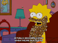 Buzzing GIFs - Get the best gif on GIFER