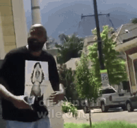 Wile GIFs - Get the best gif on GIFER