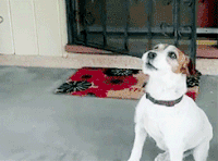 Concentration GIFs - Get the best gif on GIFER