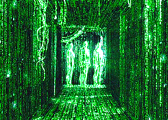 Enter the matrix GIF - Conseguir o melhor gif em GIFER