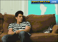 Copy GIFs - Get the best gif on GIFER