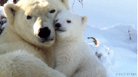 Interactions GIFs - Get the best gif on GIFER
