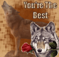 Pimp GIFs - Get the best gif on GIFER