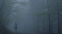 Fog GIFs - Get the best gif on GIFER