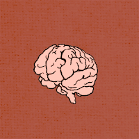 Smartest GIFs - Get the best gif on GIFER