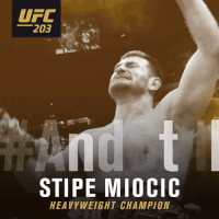 Ufc 203 GIFs - Hole dir die besten GIFs auf GIFER