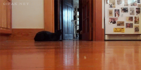 Casings GIFs - Get the best gif on GIFER
