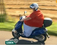 Fat GIFs - Get the best gif on GIFER