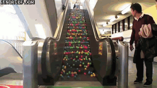 Hawker GIFs - Get the best gif on GIFER