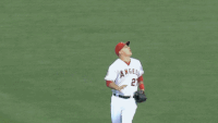 Crisp GIFs - Get the best gif on GIFER