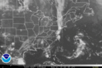 Scattered GIFs - Get the best gif on GIFER