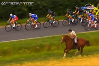 Gallop GIFs - Get the best gif on GIFER