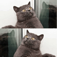 Mrw GIFs - Get the best gif on GIFER