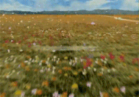 Ff8 GIFs - Get the best gif on GIFER