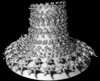 Zoetrope GIFs - Get the best gif on GIFER