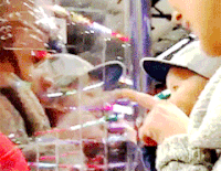 Watermark GIFs - Get the best gif on GIFER